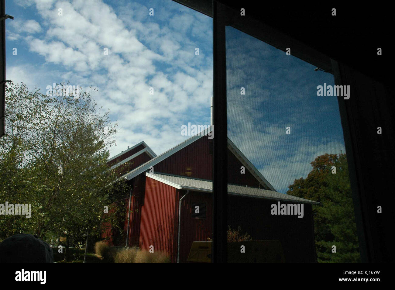 Anti bird strike film on window Stock Photo - Alamy