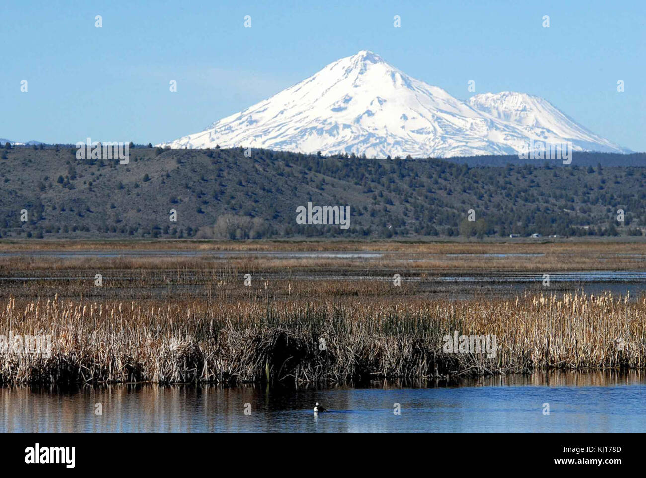Marsh in the lower Klamath national wildlife refuge Stock Photo - Alamy