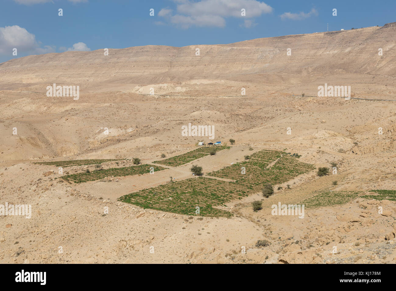 Village and farms in the desert of Jordan Stock Photo - Alamy