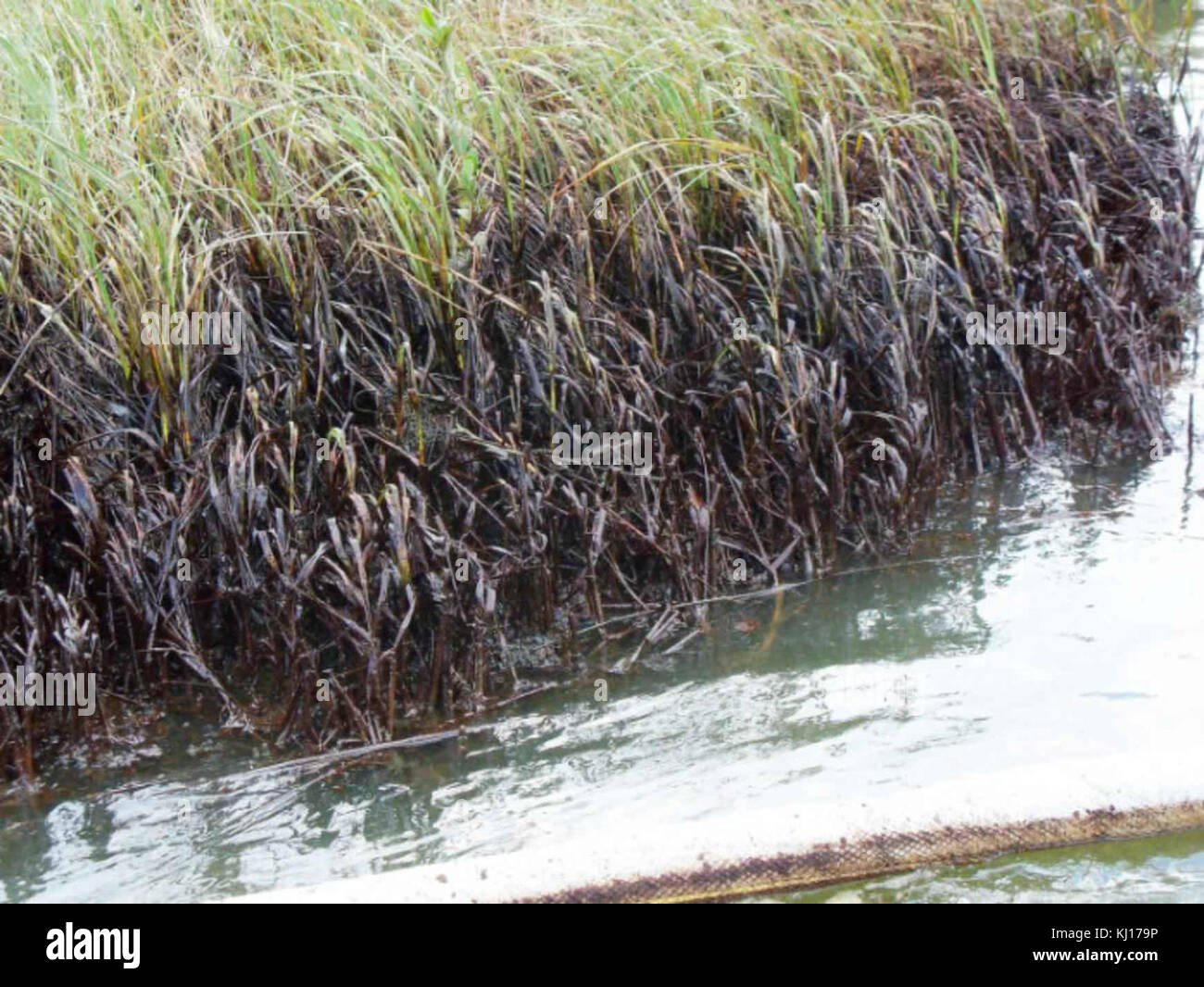 Partly covered hi-res stock photography and images - Alamy