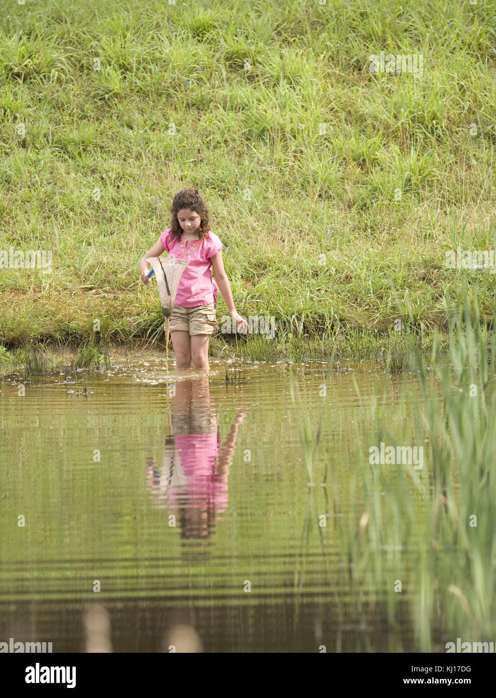 Child wading in water while using net Stock Photo - Alamy
