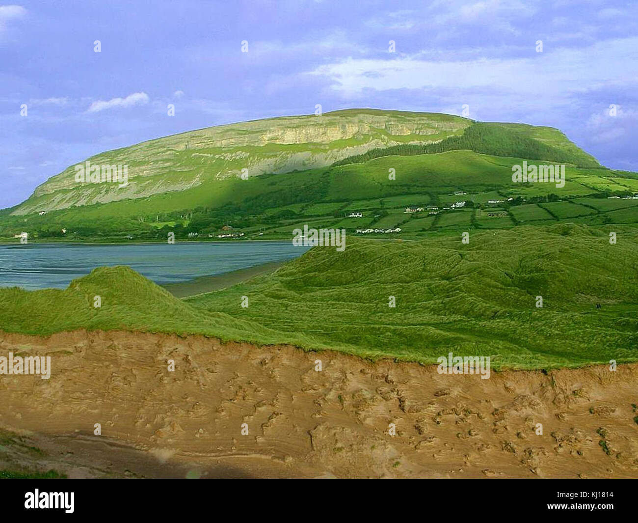 Grassy sand dune habitat hi-res stock photography and images - Alamy