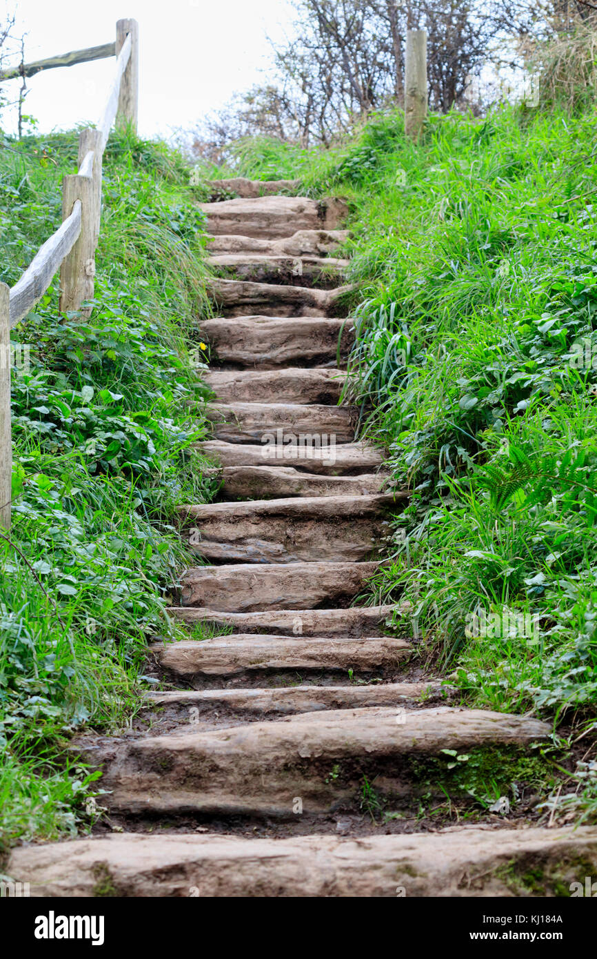 Salcombe devon steps hi-res stock photography and images - Alamy