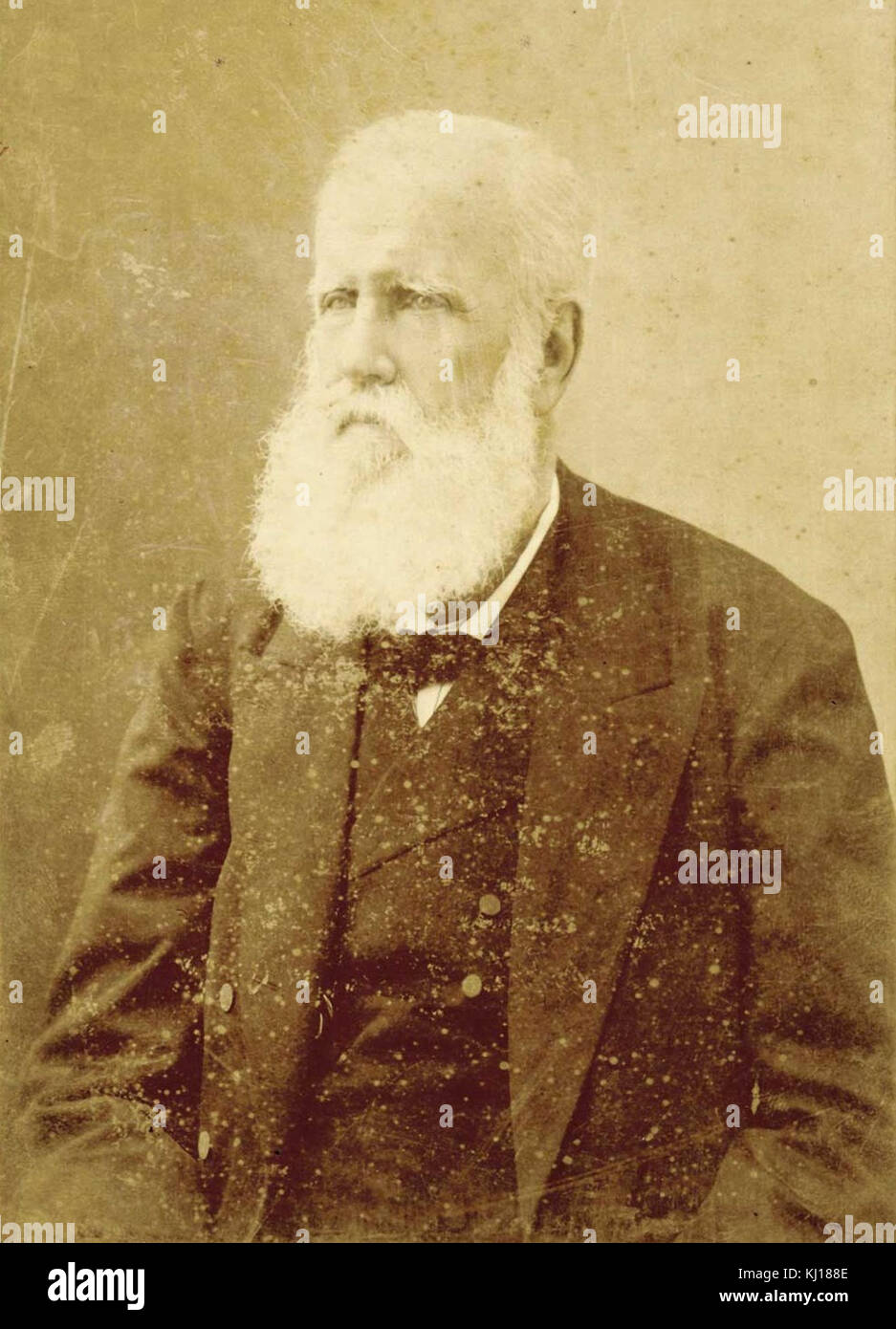 Emperor Pedro II of Brazil Stock Photo - Alamy