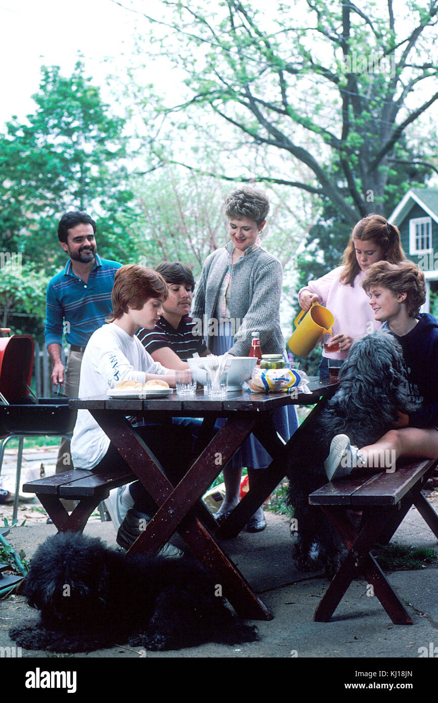 Family seated at picnic table Stock Photo - Alamy