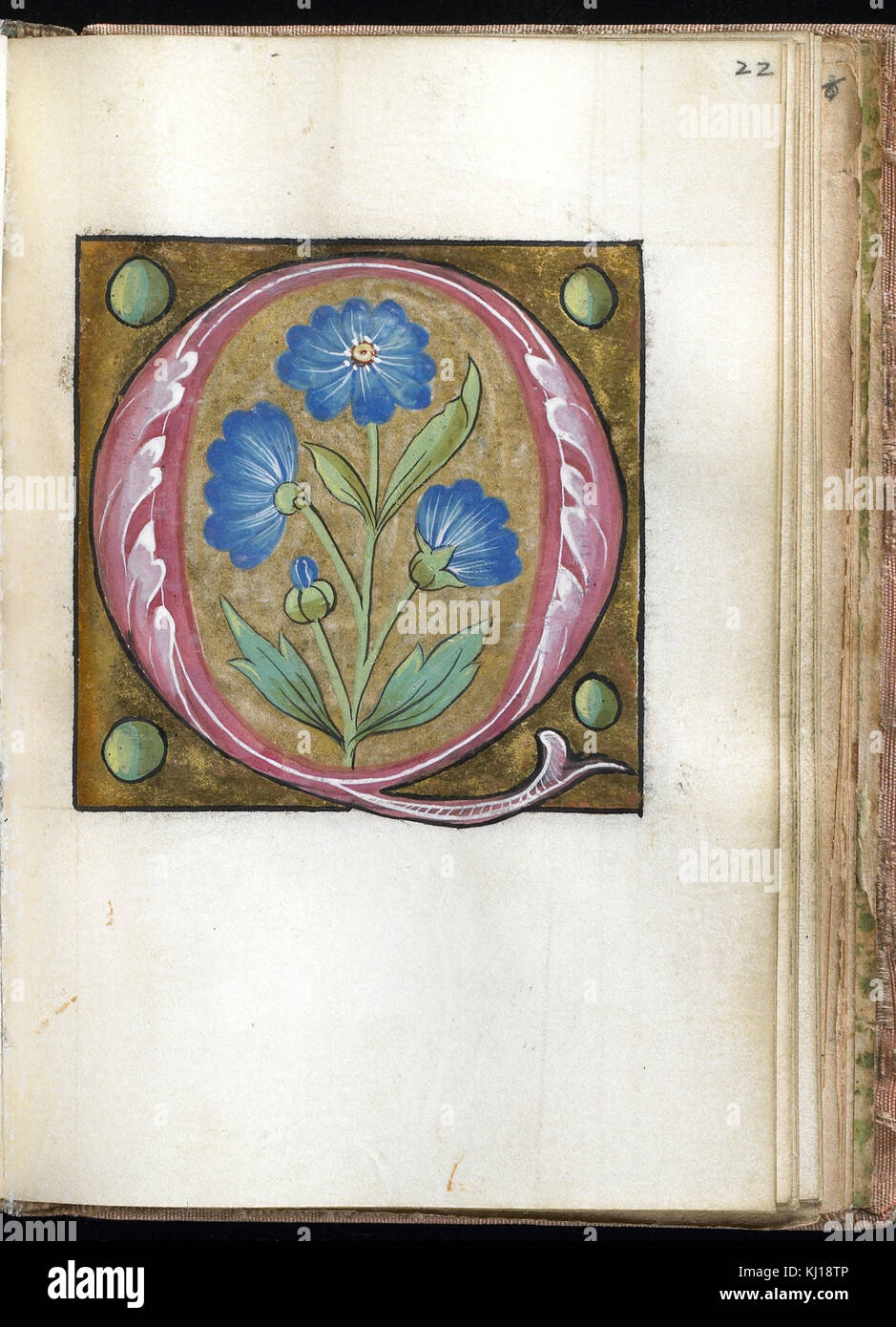 French - Leaf from Alphabet Book - Walters W20022R - Open Obverse Stock ...