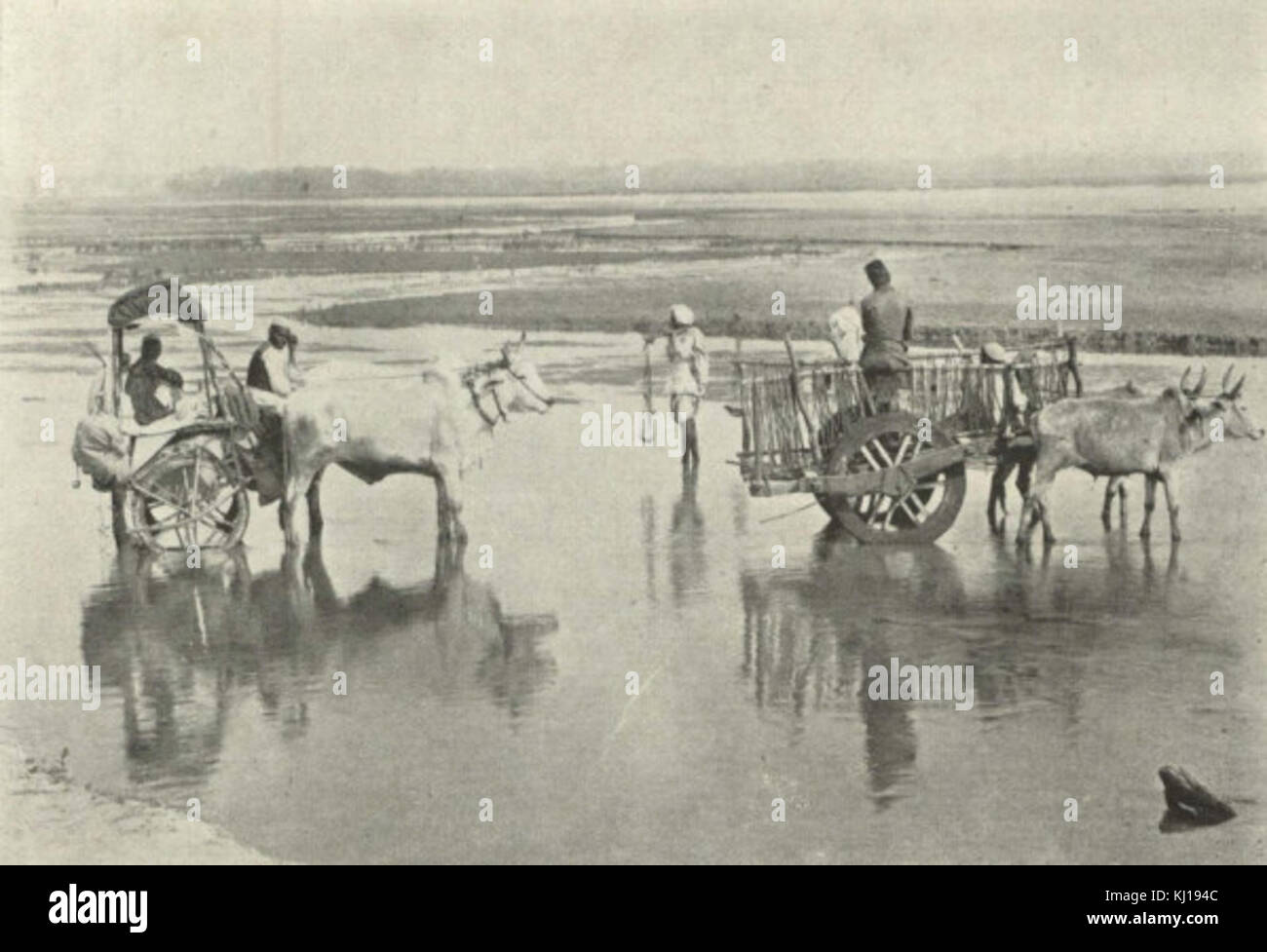 Fording an Indian River Stock Photo - Alamy