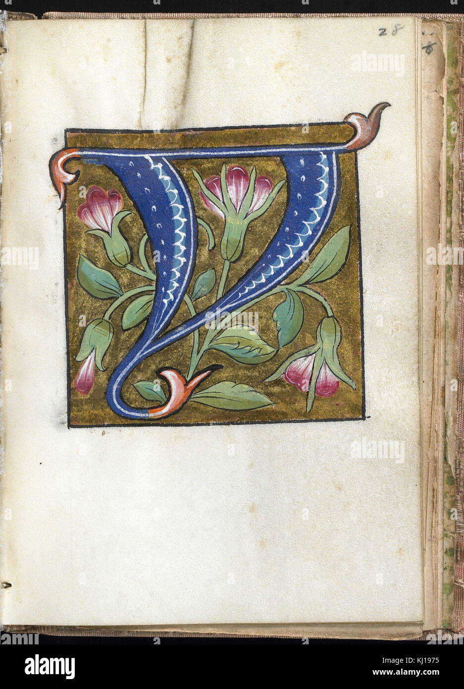 French - Leaf from Alphabet Book - Walters W20028R - Open Obverse Stock ...