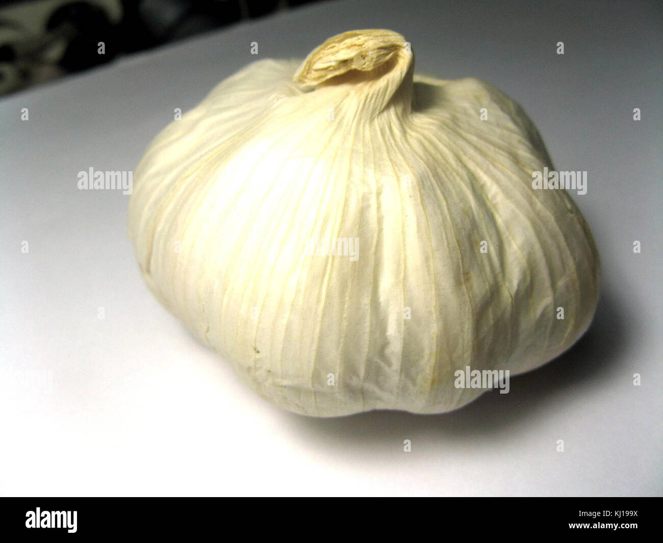 Garlic plant allium sativum Stock Photo - Alamy
