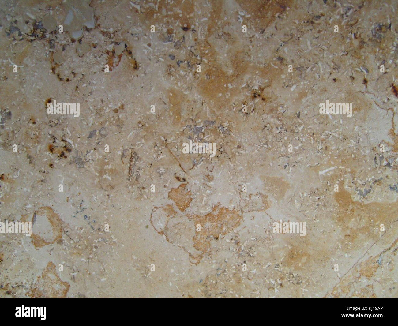 This image showcases a close-up view of a marble texture, highlighting ...