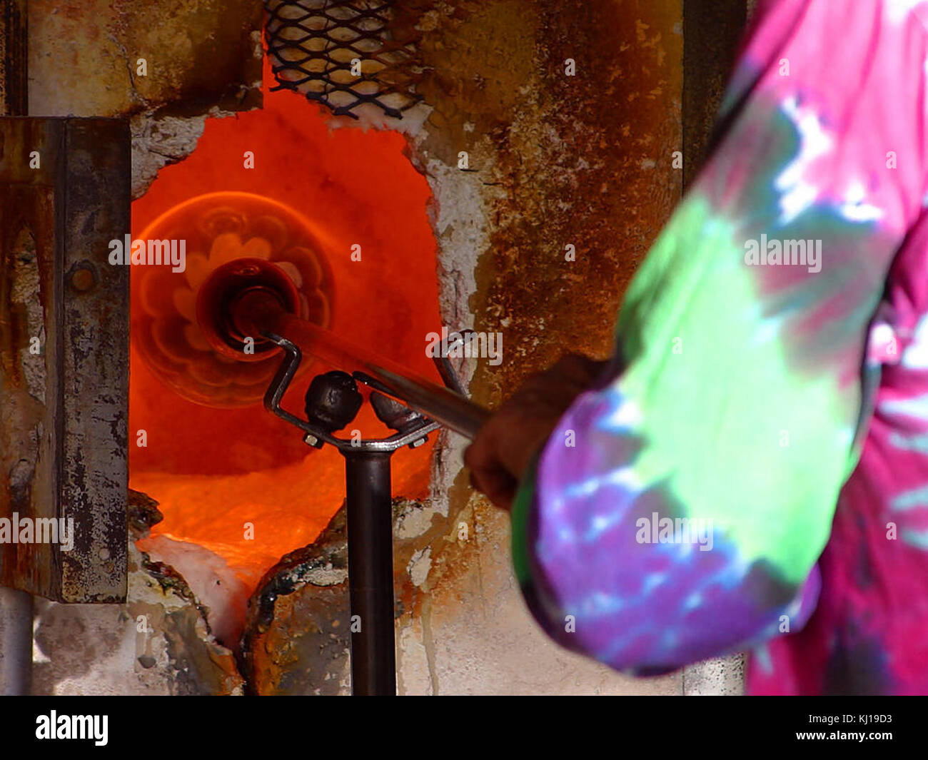 Goose 8 bg 112303 Stock Photo - Alamy