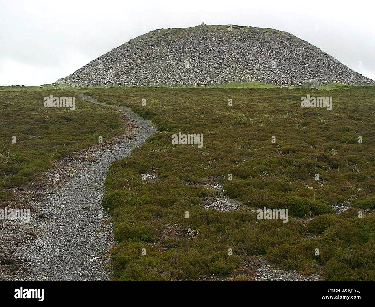 Green hill on field Stock Photo - Alamy