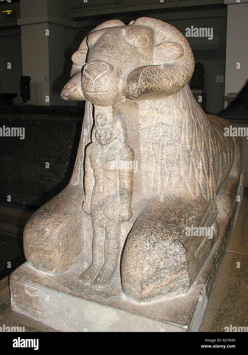 The granite statue of the Egyptian god Amun in the form of a ram ...
