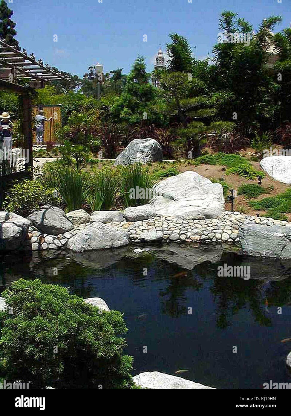 Garden pond in park Stock Photo - Alamy