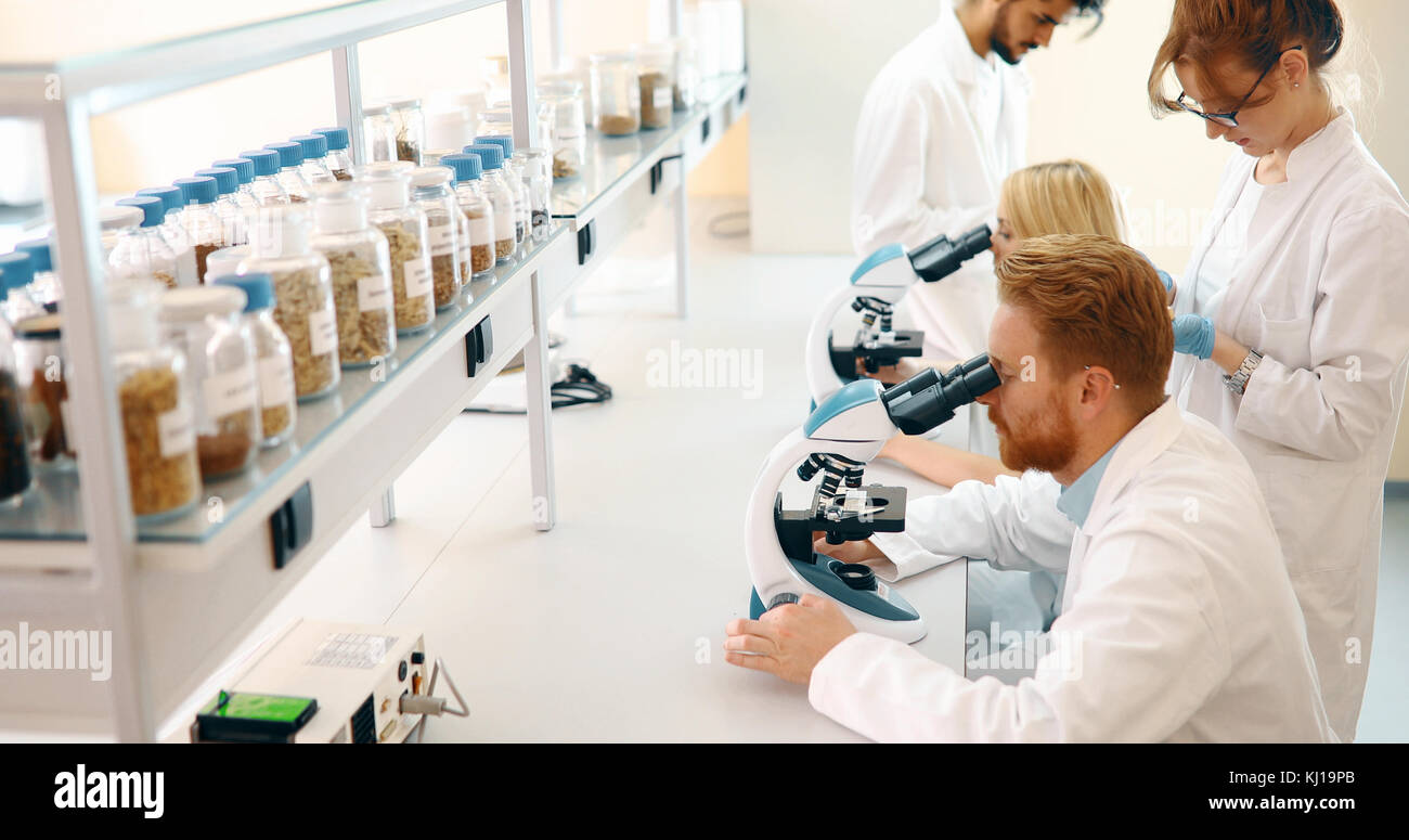 Group of scientists doing research looking through microscope Stock ...