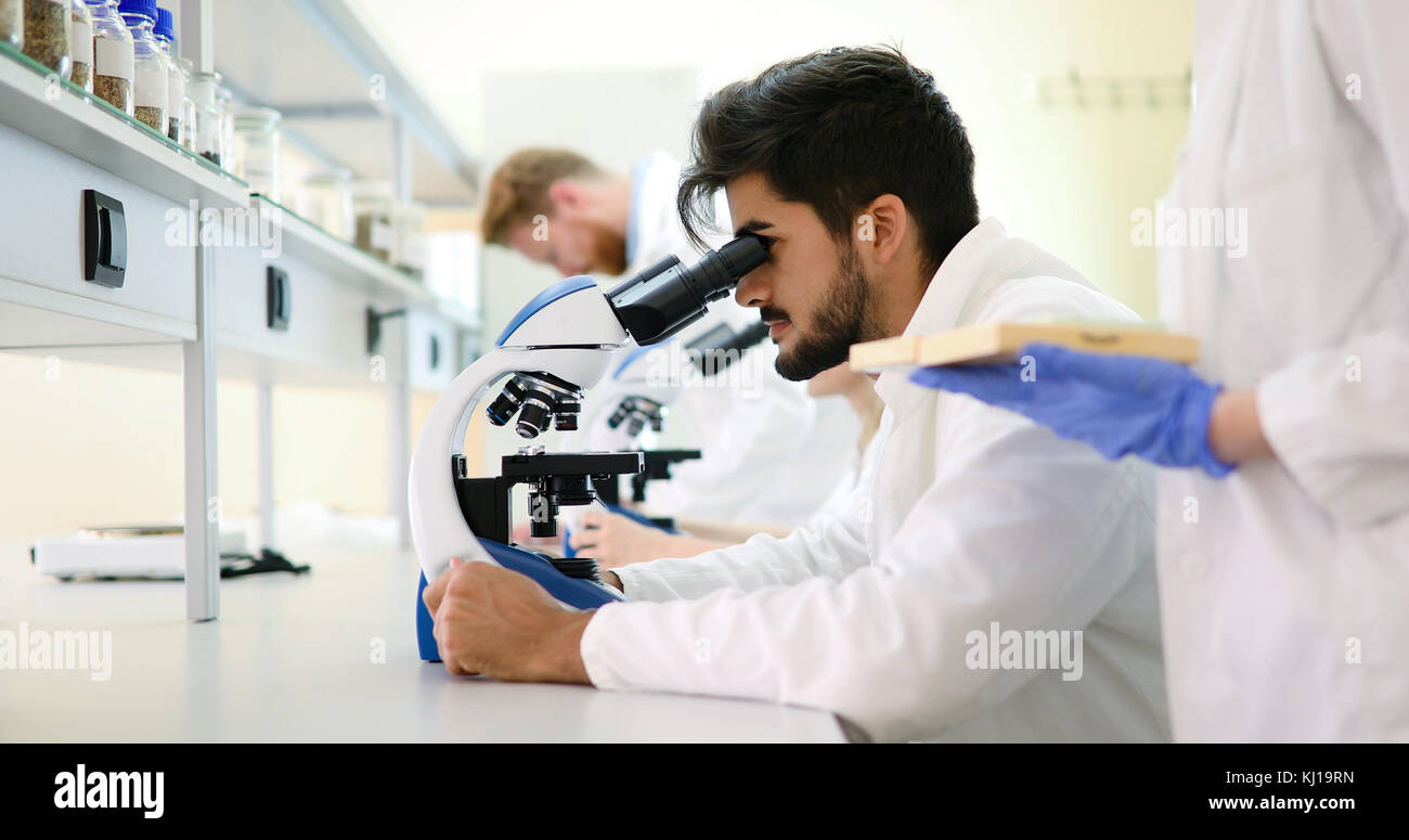 Young scientist looking through microscope in laboratory Stock Photo ...