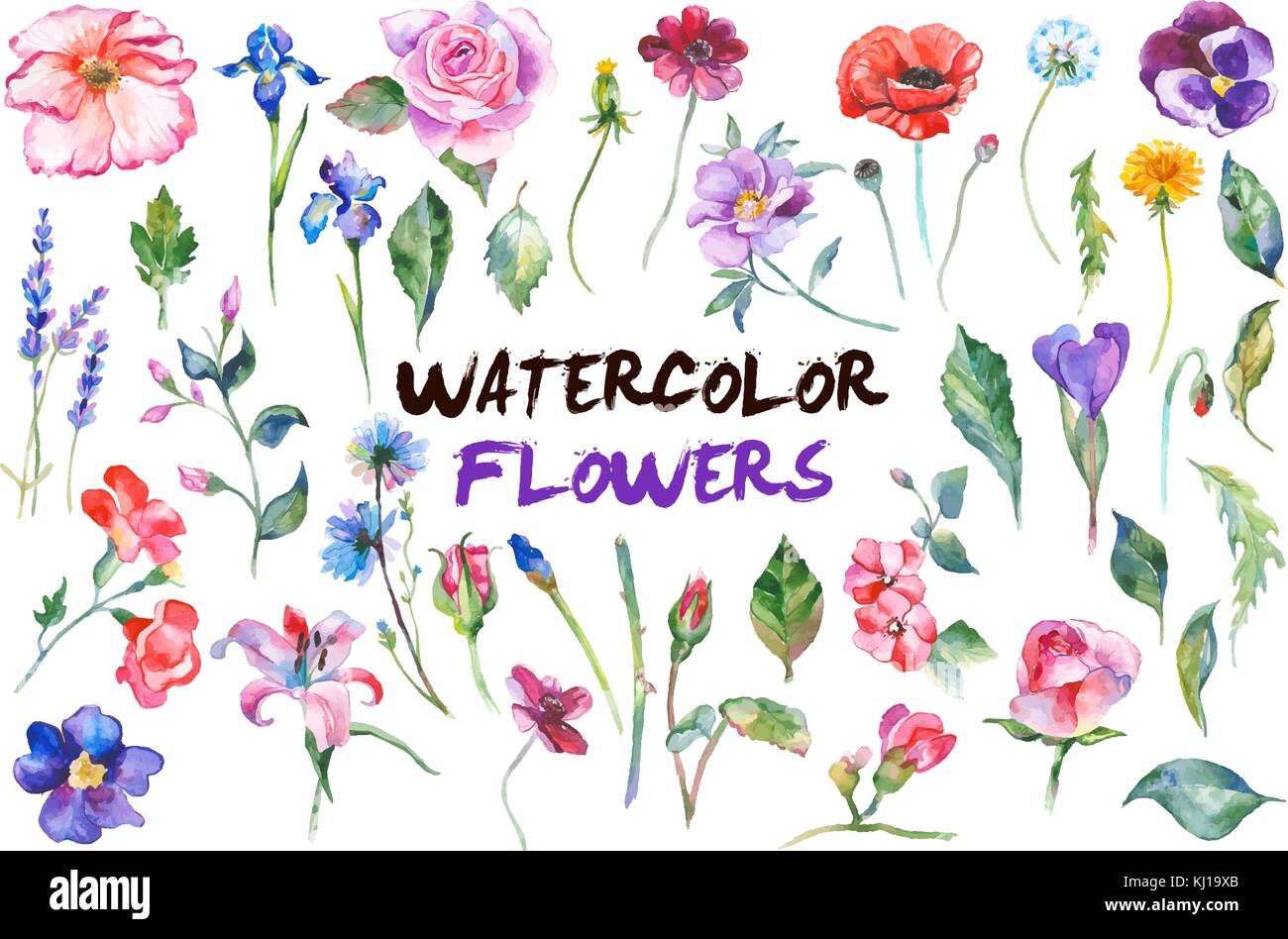 Watercolor flowers illustration Stock Vector Image & Art - Alamy