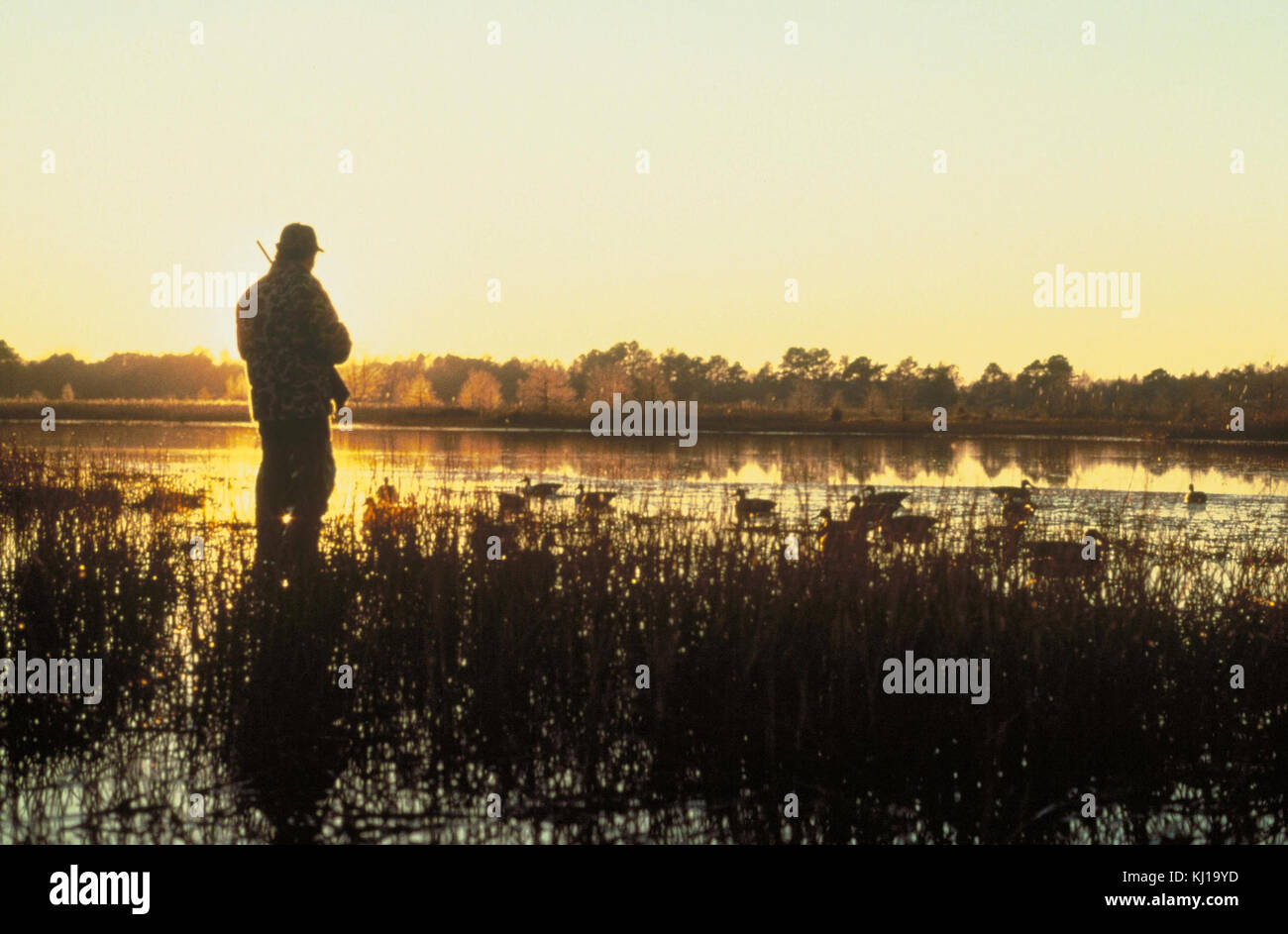 Tranquil hunting hi-res stock photography and images - Alamy