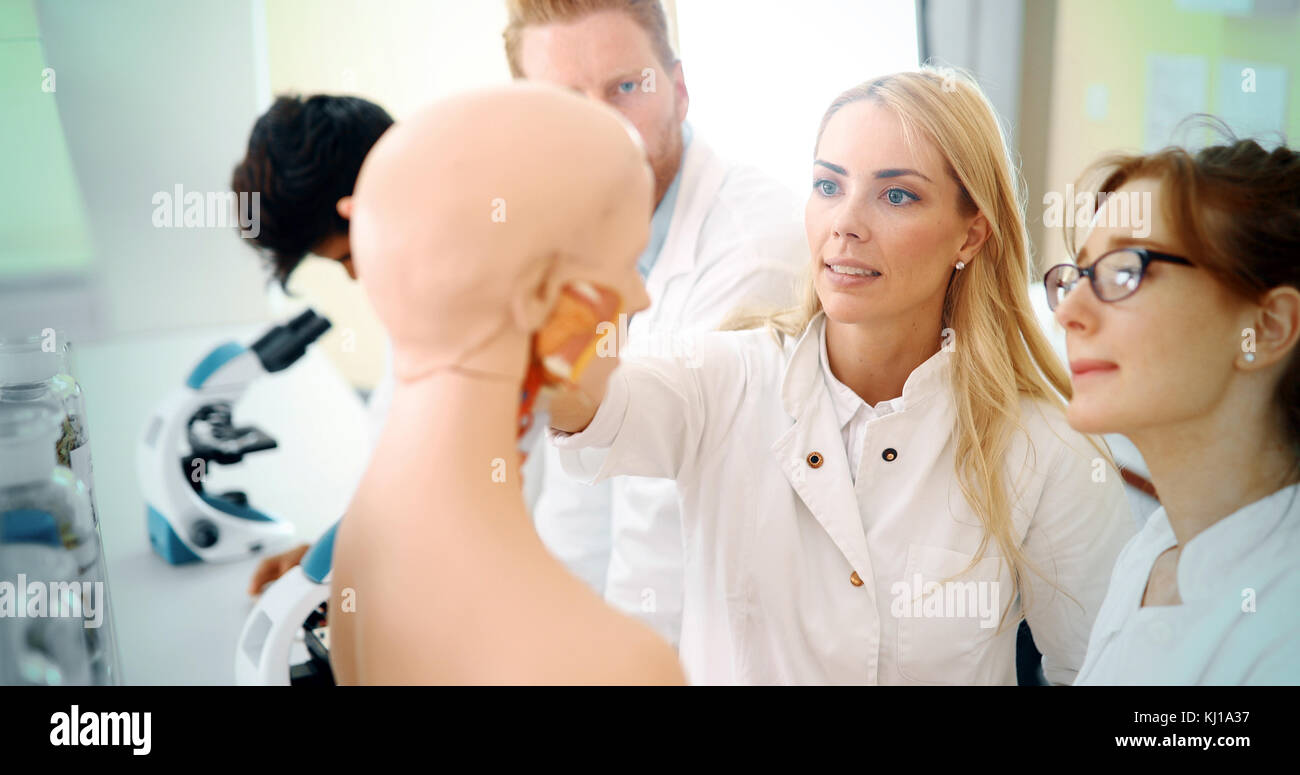 Students of medicine examining anatomical model in classroom Stock ...