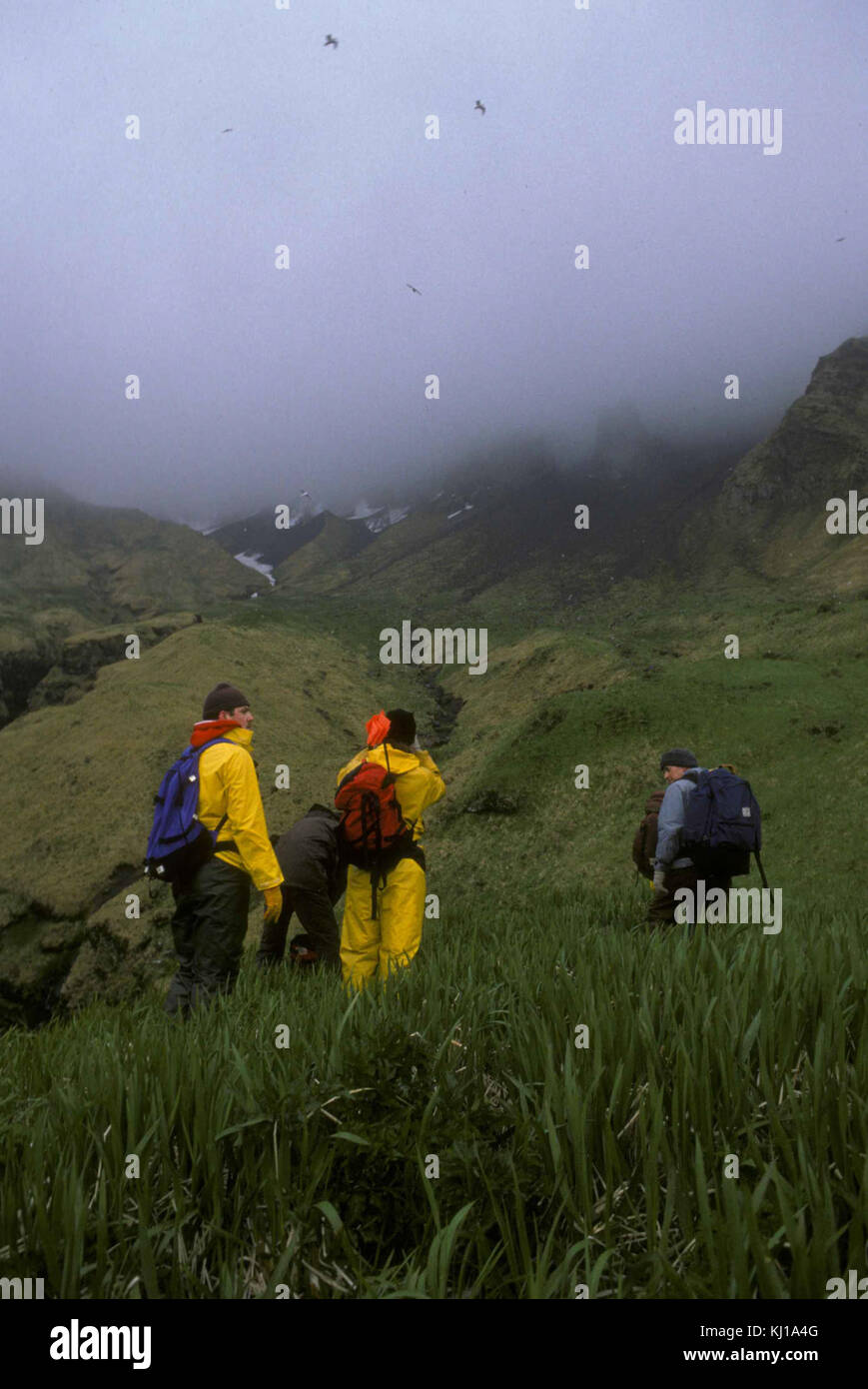 Mountain climbing crew Stock Photo - Alamy