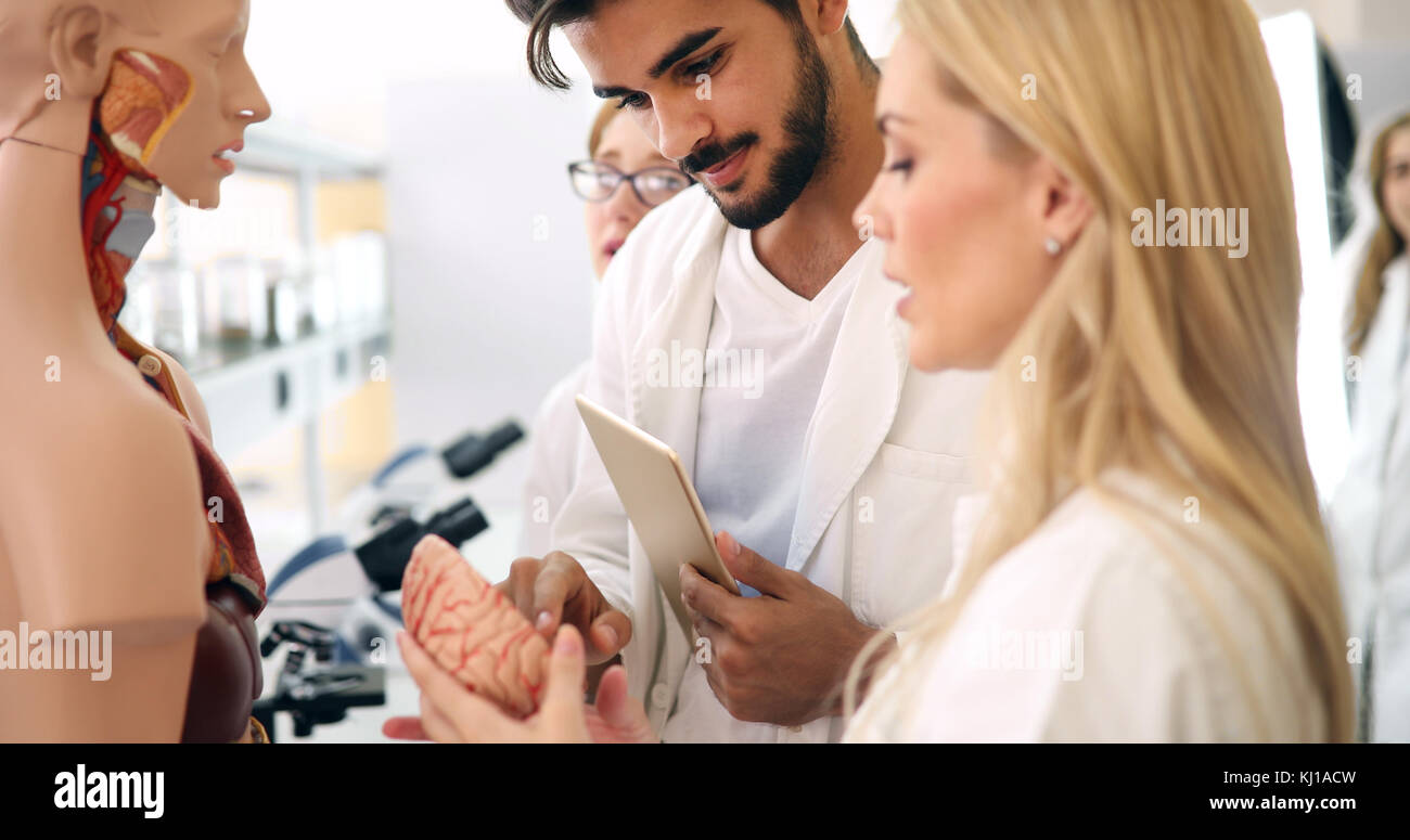 Students of medicine examining anatomical model in classroom Stock ...