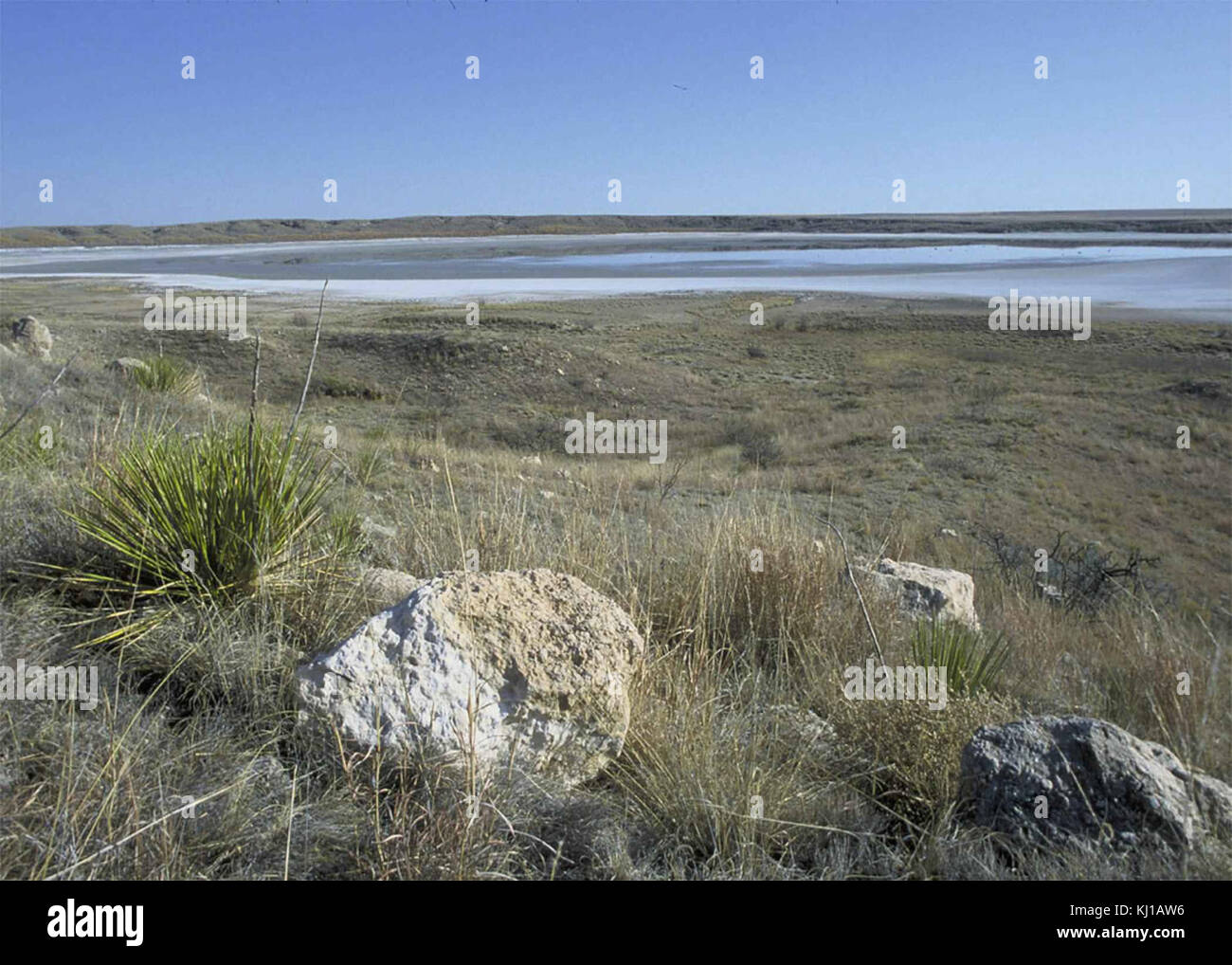 Muleshoe national wildlife hi-res stock photography and images - Alamy