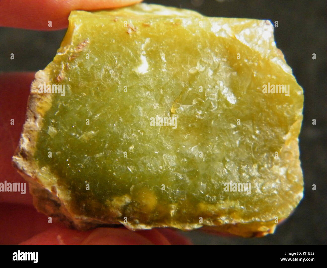 Lizardite hi-res stock photography and images - Alamy