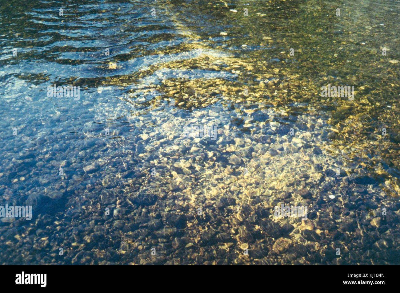 Habitat for atlantic salmon hi-res stock photography and images - Alamy