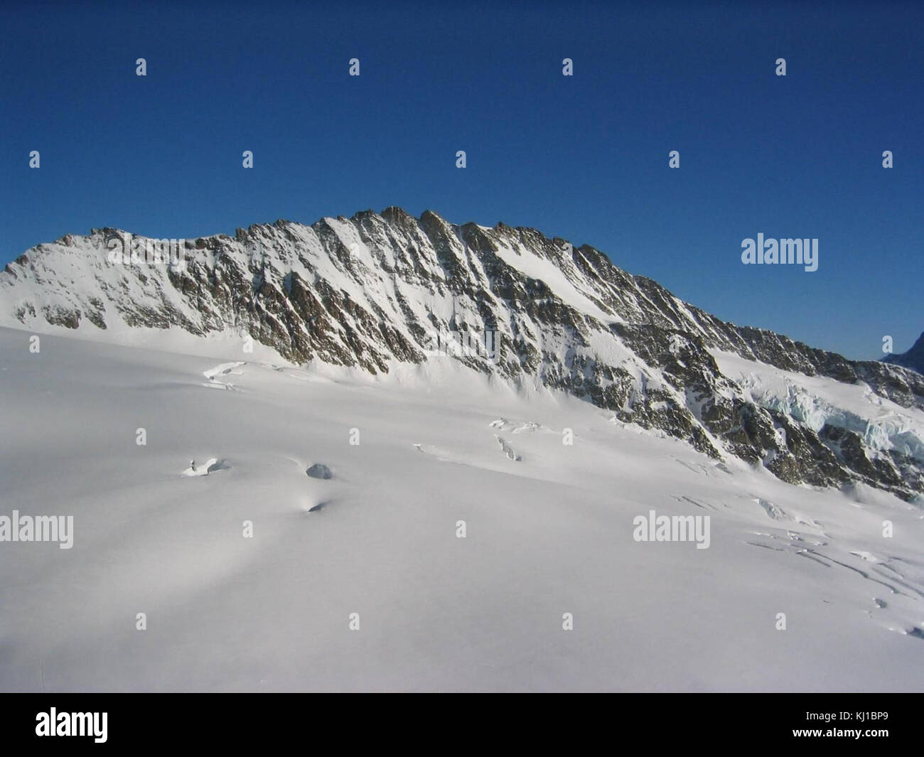 In clearing stock hi-res stock photography and images - Alamy