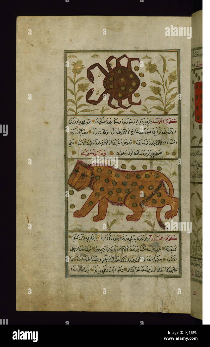 An image or document featuring Muhammad ibn Muhammad Shakir Ruzmah-'i ...