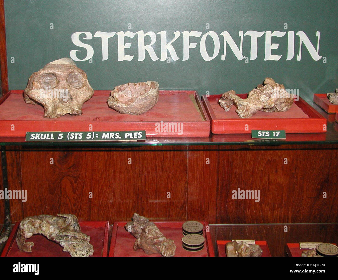 Mrs ples hi-res stock photography and images - Alamy