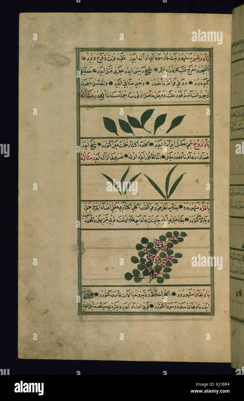 Muhammad ibn Muhammad Shakir Ruzmah-'i Nathani - Two Types of Mountain ...