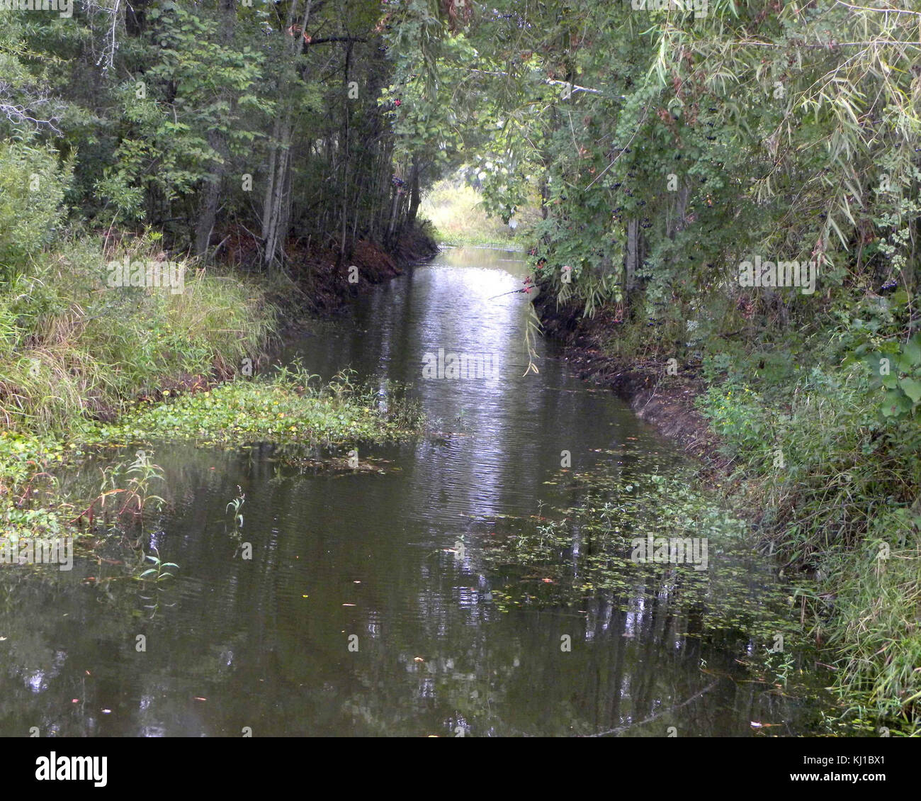 Nice fishing spot wild nature Stock Photo - Alamy