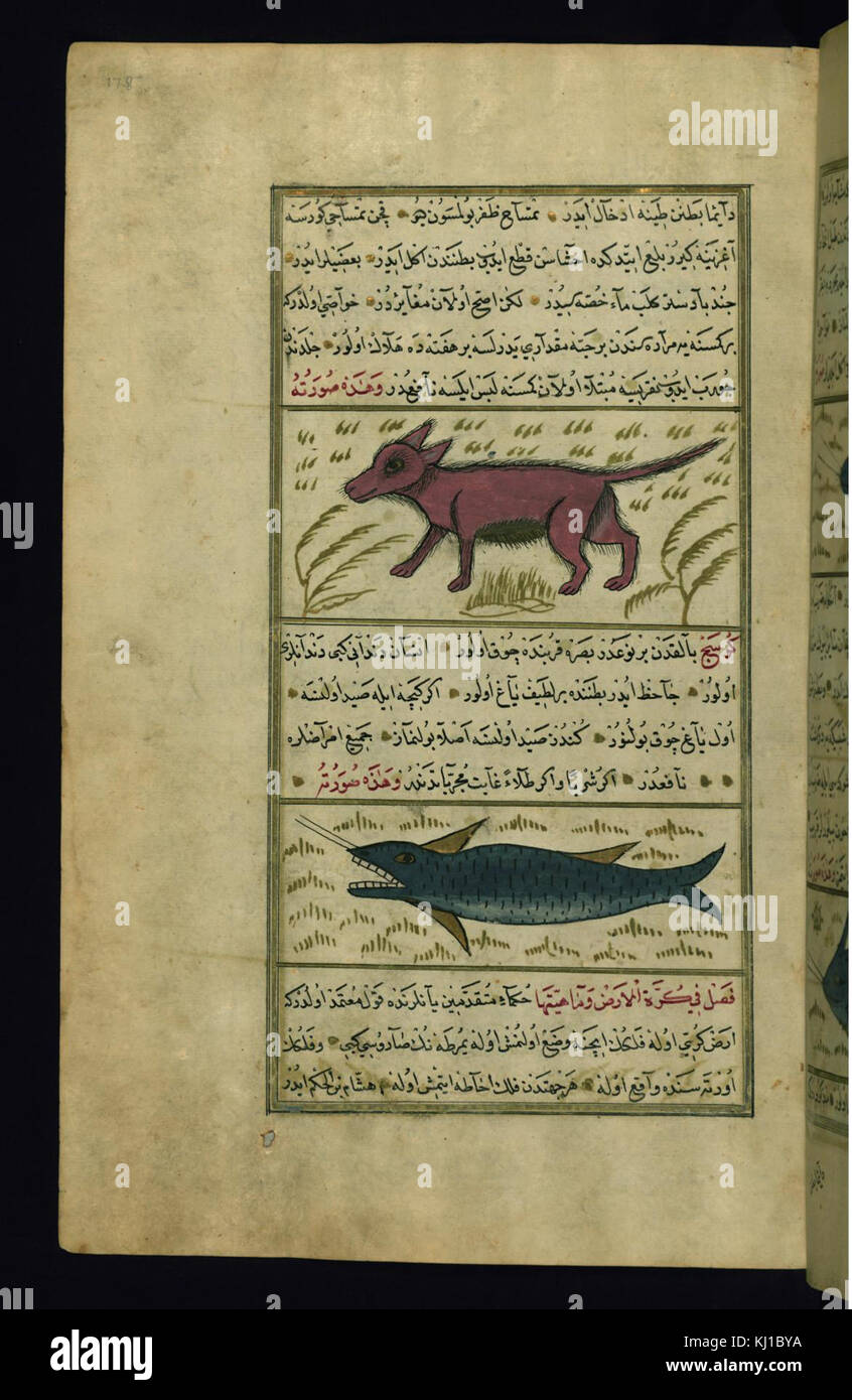 Muhammad ibn Muhammad Shakir Ruzmah-'i Nathani - A Water-dog and a ...