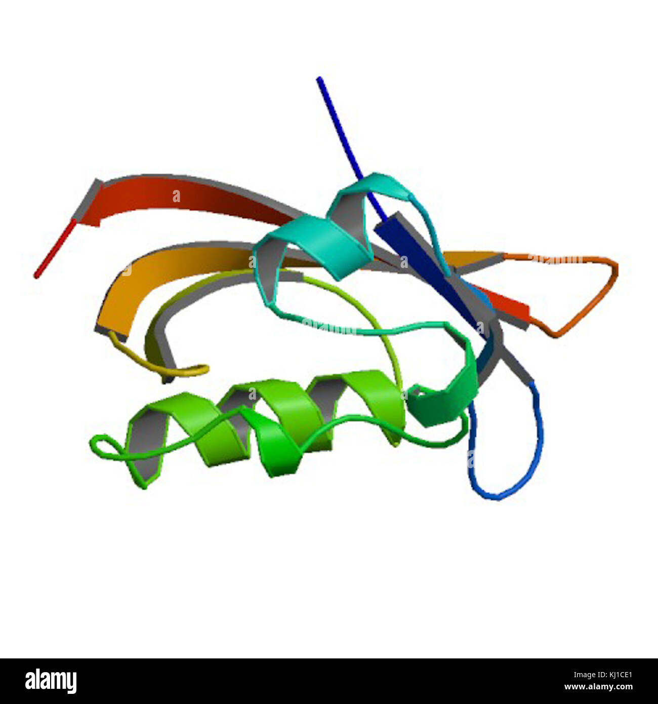An image depicting the PBB protein and its relationship with the KCNH2 ...