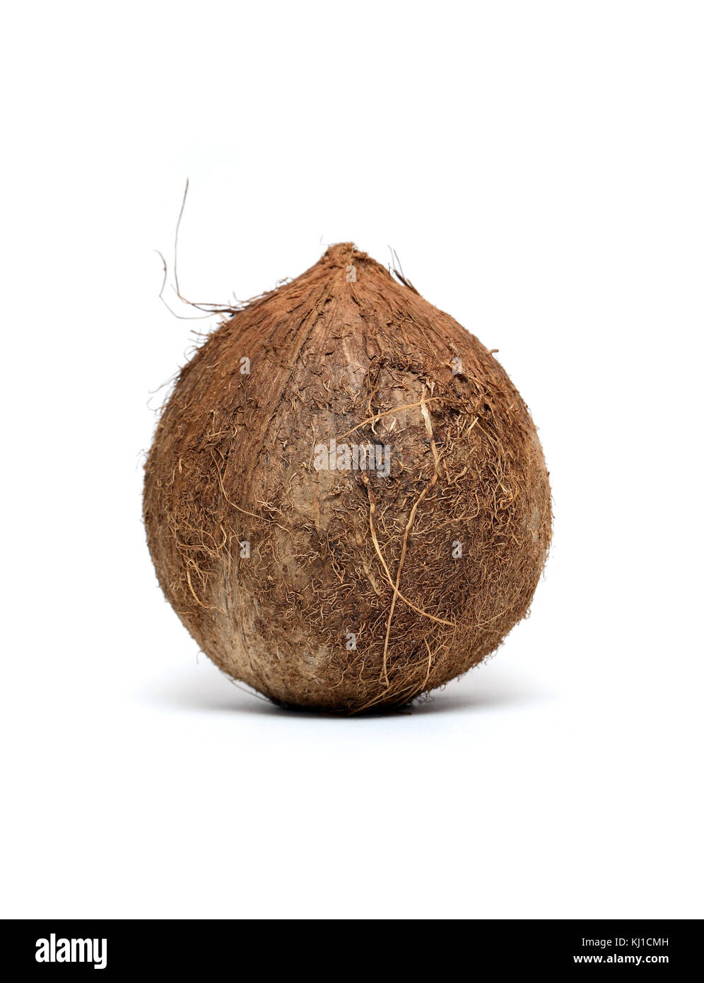 Coconut tree standing Cut Out Stock Images & Pictures - Alamy