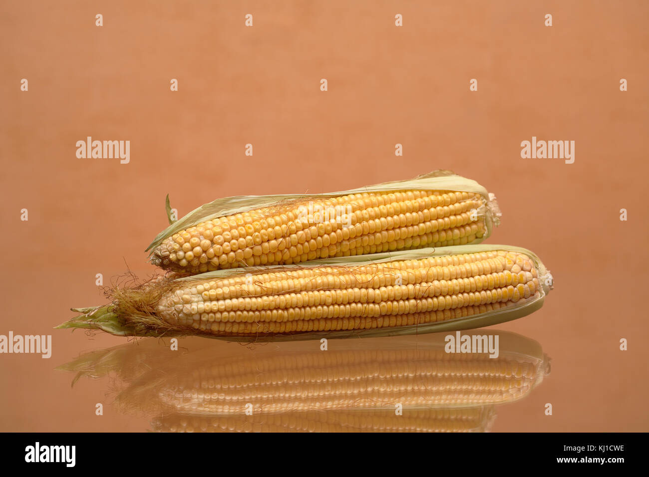 Raw corn isolated on brown background with reverberation Stock Photo ...