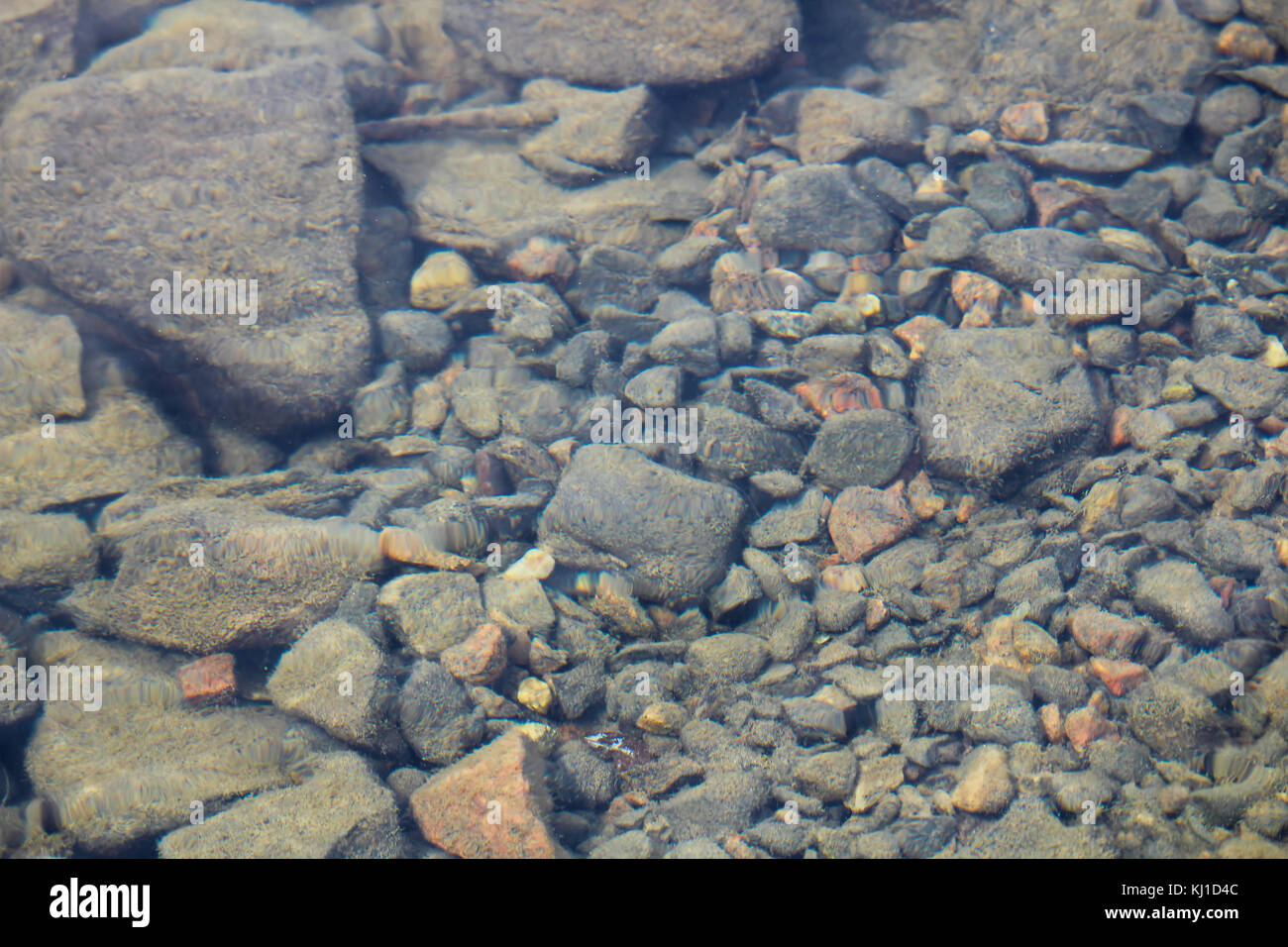 Distorted view of slit covered rocks in water Stock Photo - Alamy