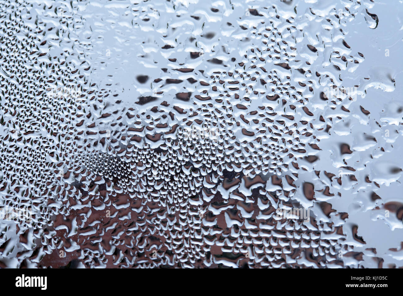 Closeup of crystal clear water drops lying on mirror background Stock ...