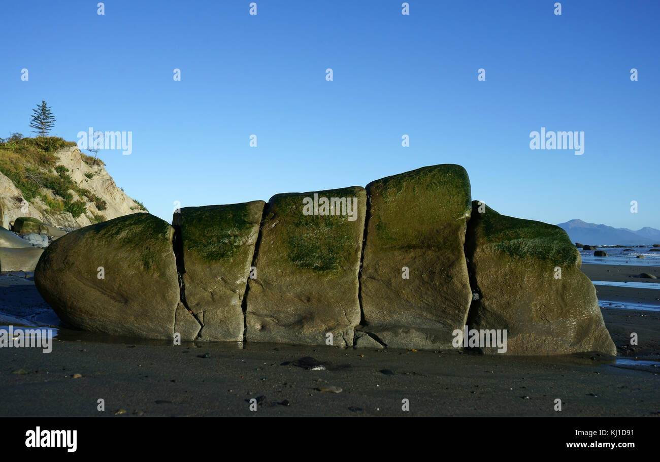 Large cracked boulder with green algae on tidal beach of Cook Inlet ...
