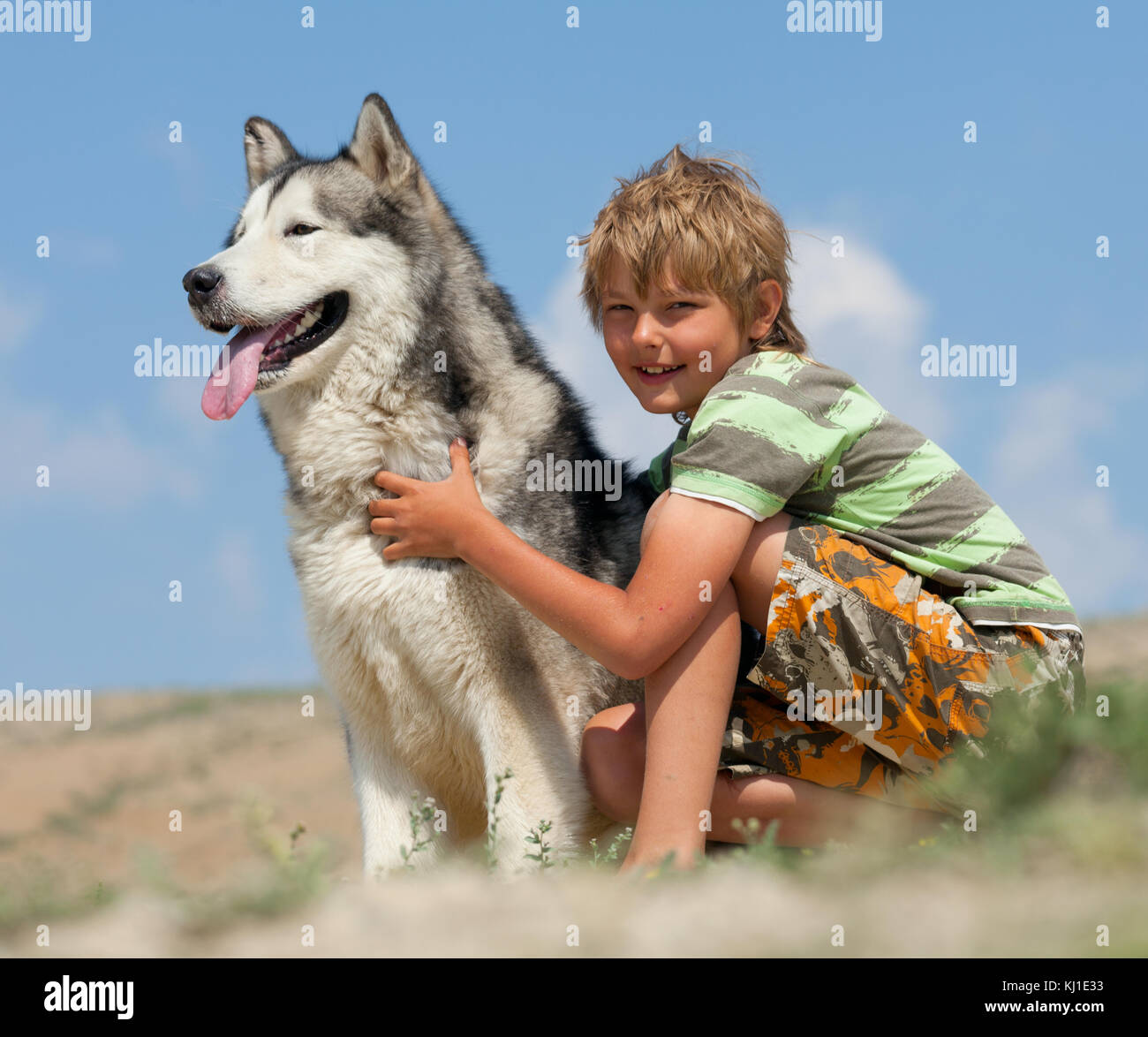 Boy hugging a fluffy dog. Husky dog breed Stock Photo - Alamy