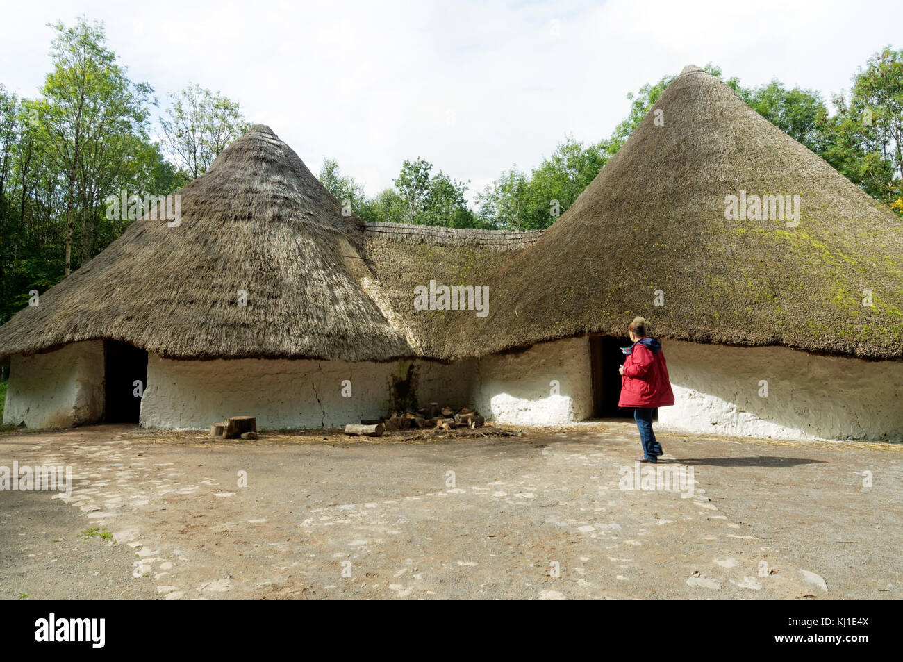 Celtic Village, St Fagans National History Museum, Cardiff, Wales Stock ...