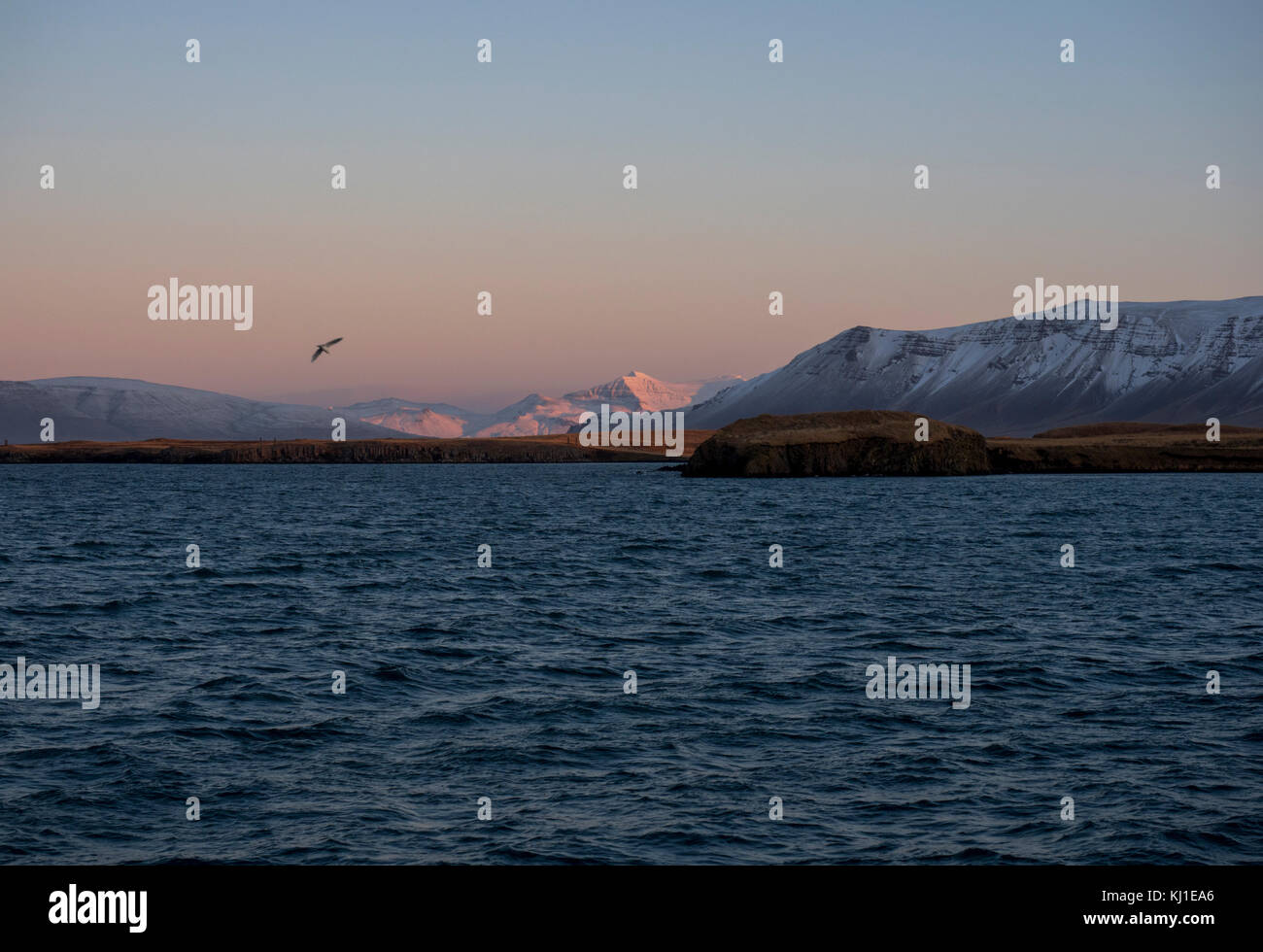 Golden sunrise across the bay at Reykjavik, Iceland Stock Photo - Alamy