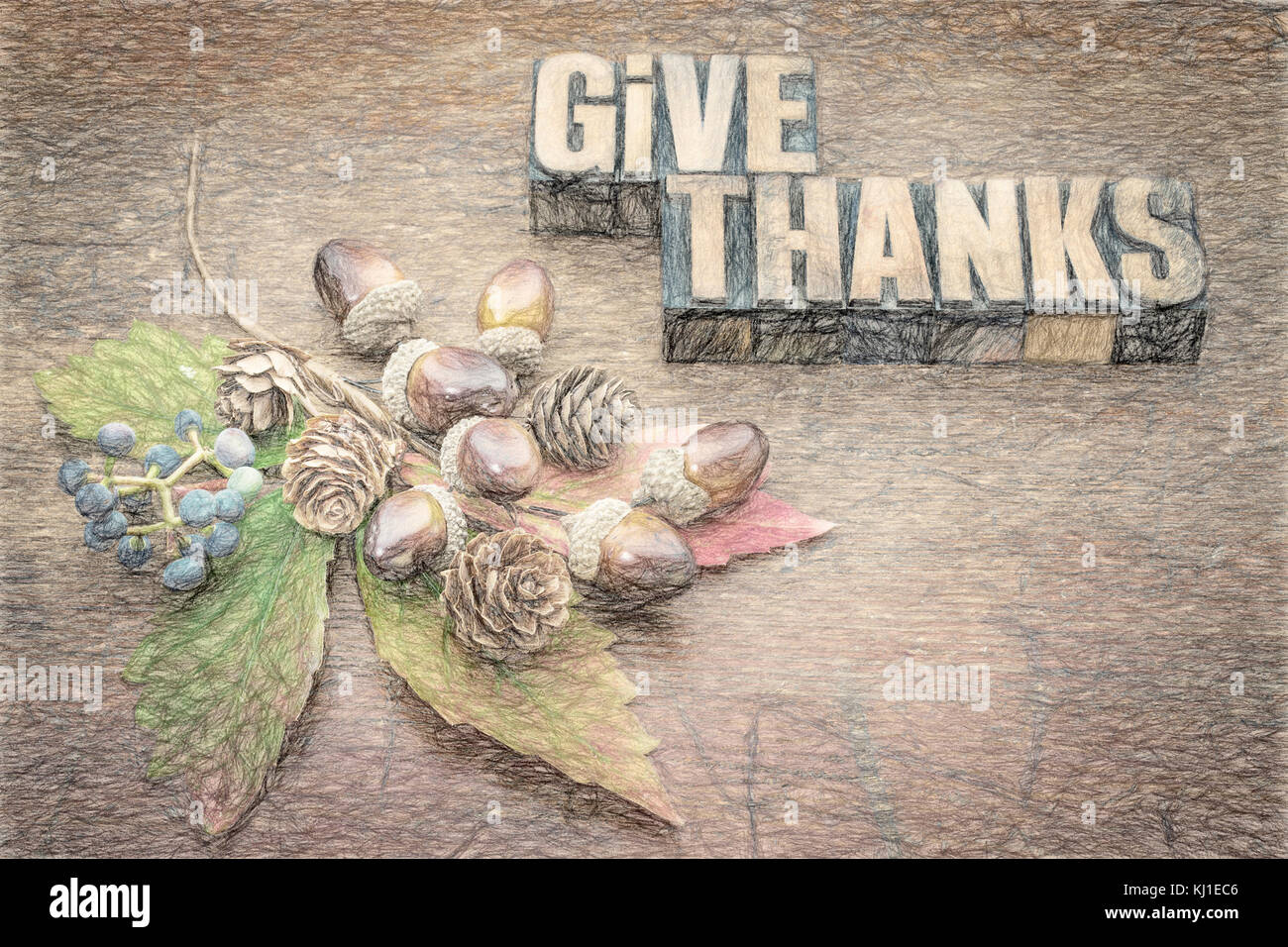 Acorn and leaf hi-res stock photography and images - Alamy