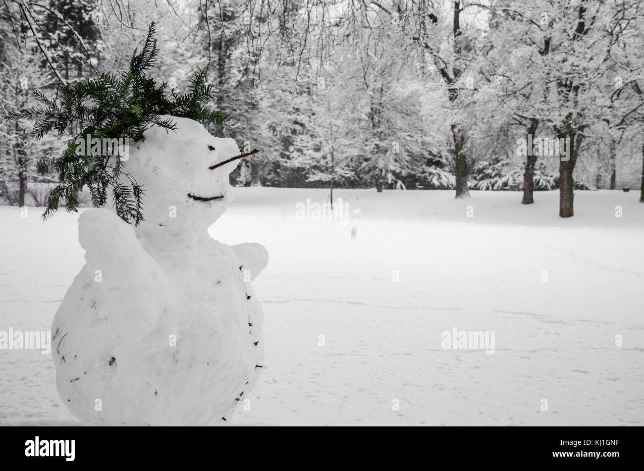 Daytime magic hi-res stock photography and images - Alamy