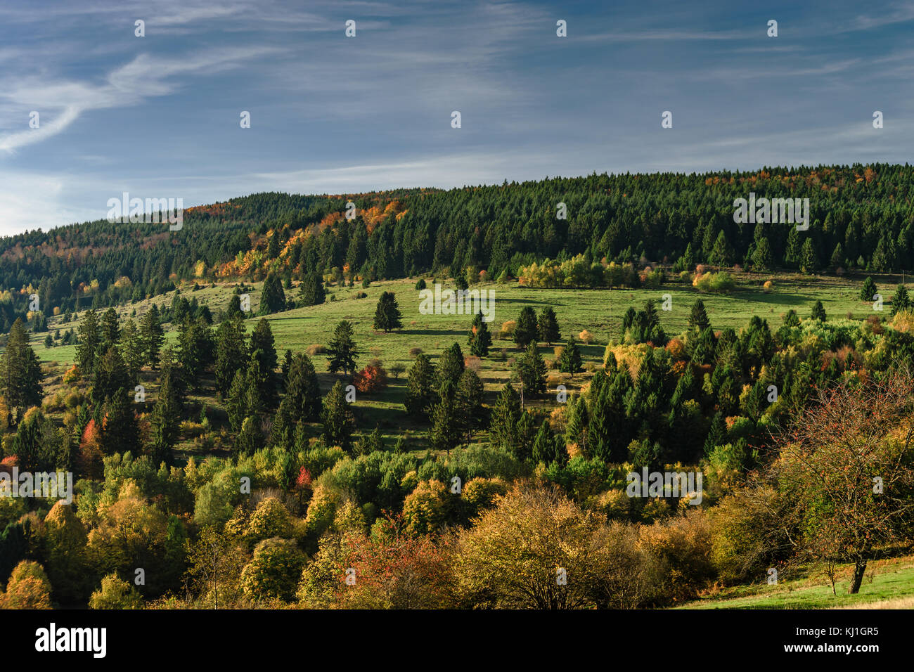 Colorful autumnal forests in Alsace, France, seasonal specific, natural ...