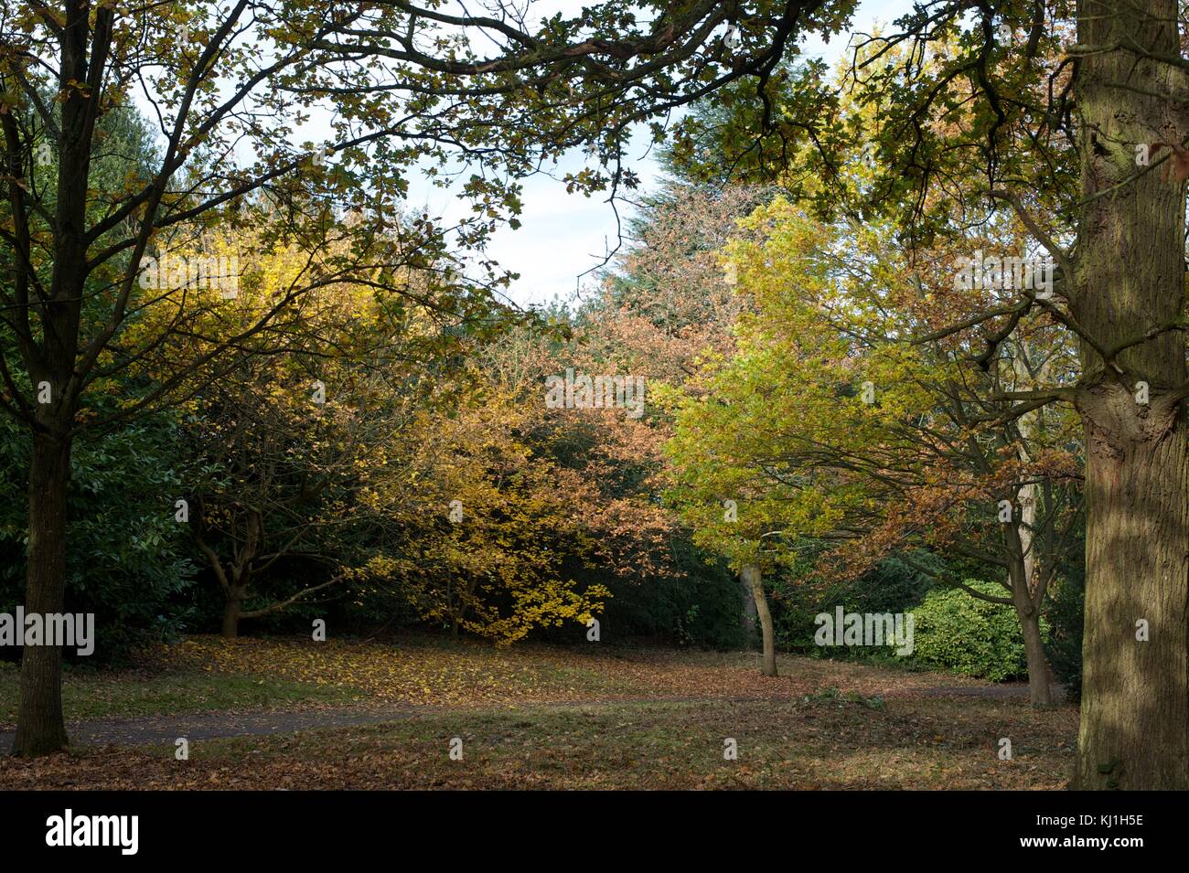 Osterley Park, Hounslow Stock Photo - Alamy