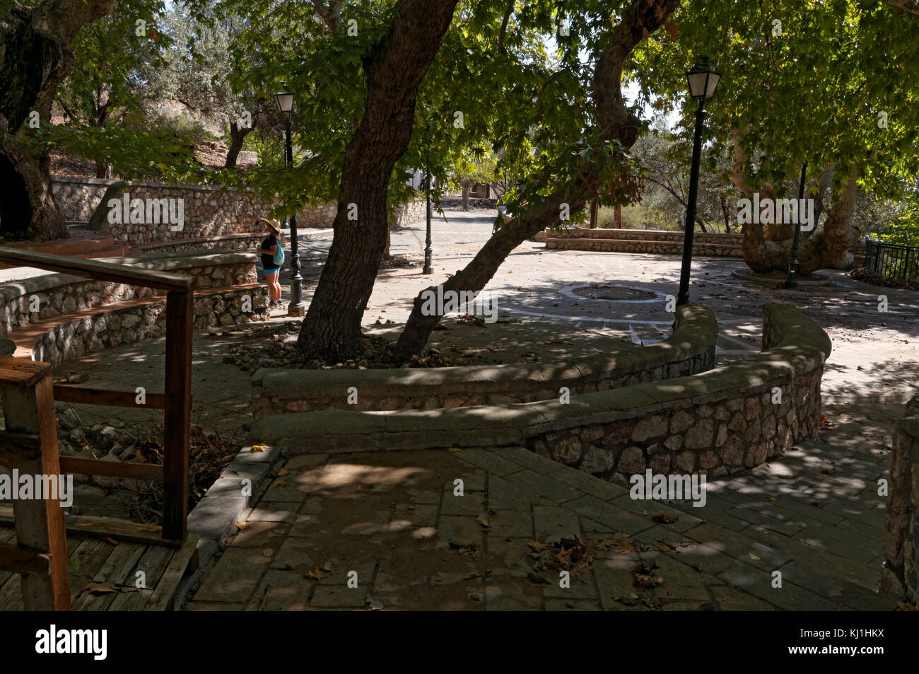 Ancient tree in the centre of Petronas, Archangelos, Rhodes, Greece ...