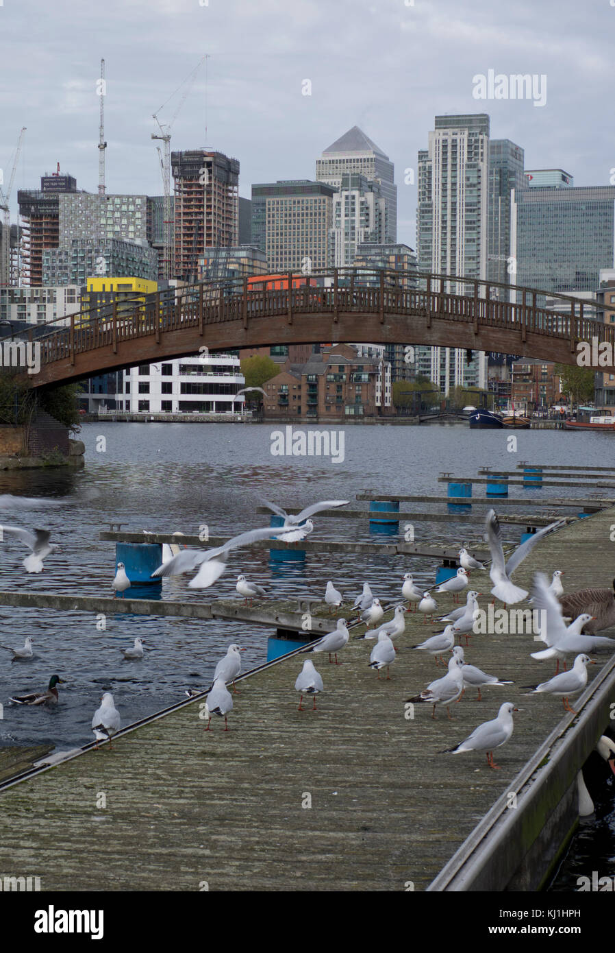 Clippers Quay luxury private marina development with Canary Wharf ...