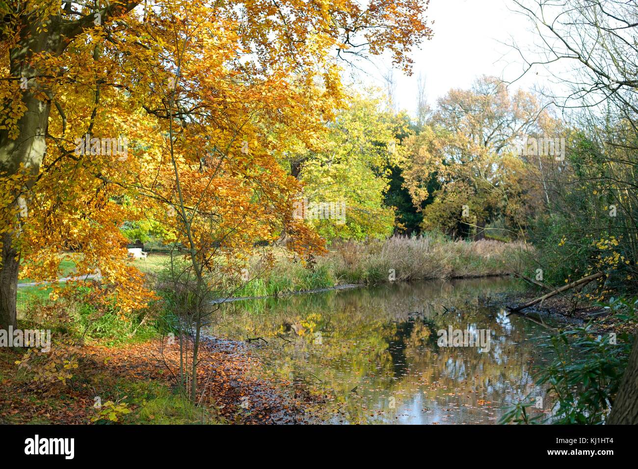 Osterley Park, Hounslow Stock Photo - Alamy